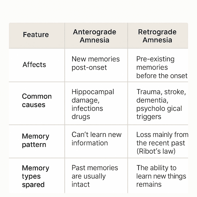 Understanding Anterograde vs Retrograde Amnesia